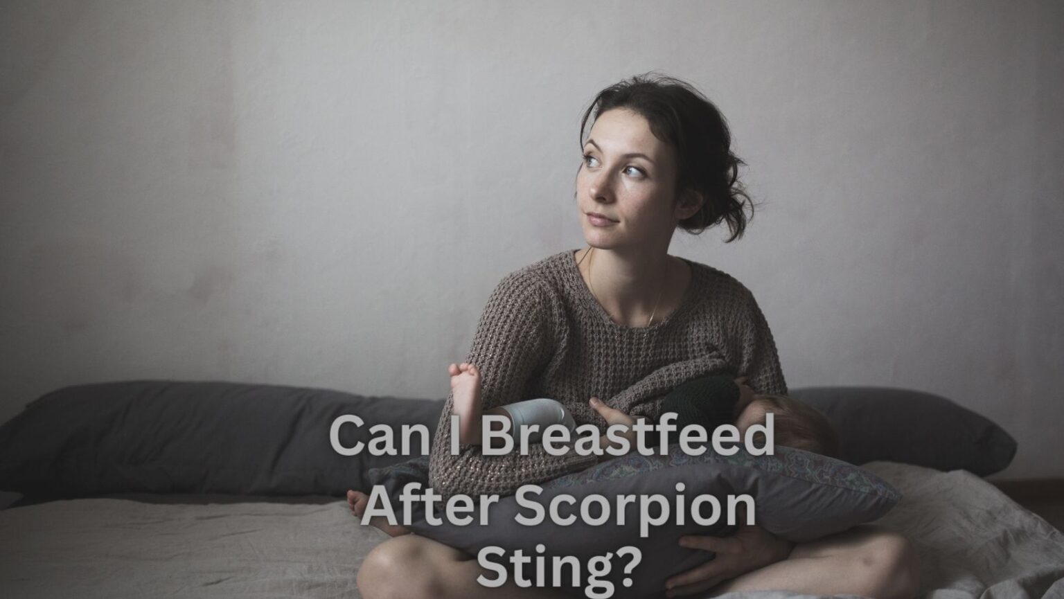 10+ Amazing Scorpion Sting Facts You Must Knew - The Scorpion Hobby