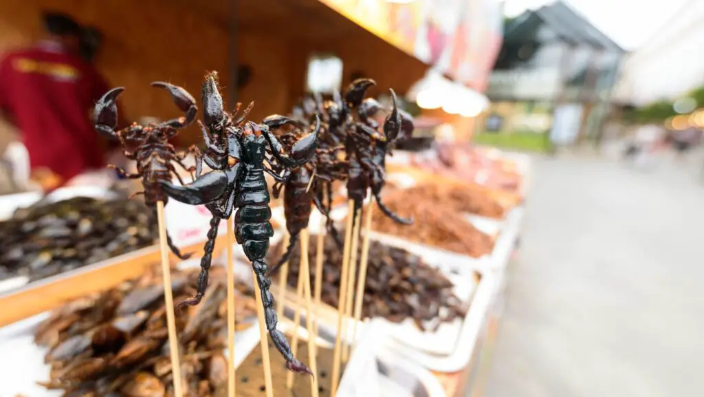 Can I Eat the Scorpion? 6 Countries Where Scorpions Are Eaten - The ...