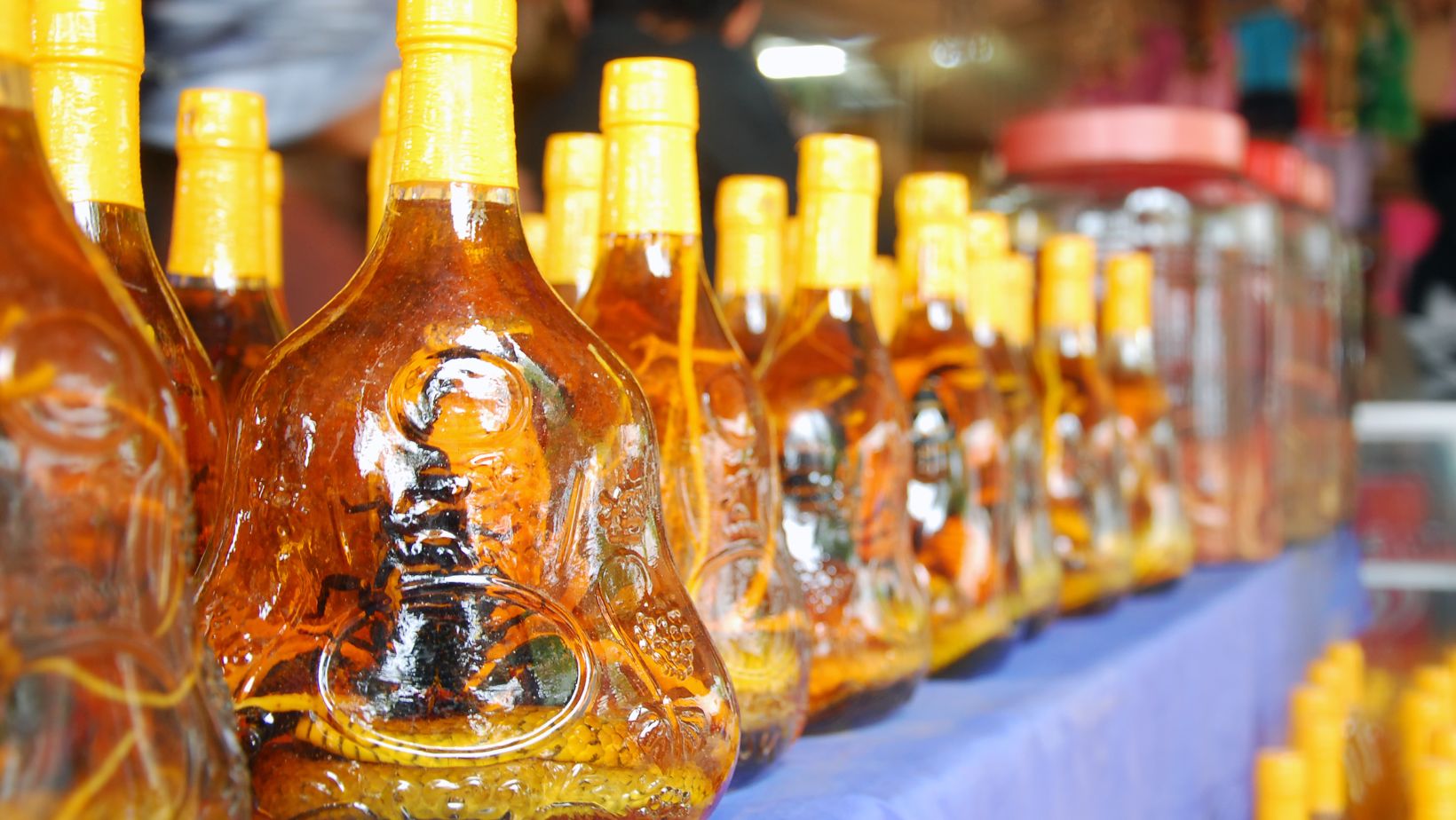 Scorpion Taxidermy: How to Mount and Preserve a Scorpion? - The ...