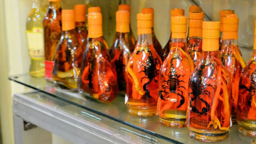 Scorpion Taxidermy: How to Mount and Preserve a Scorpion? - The ...