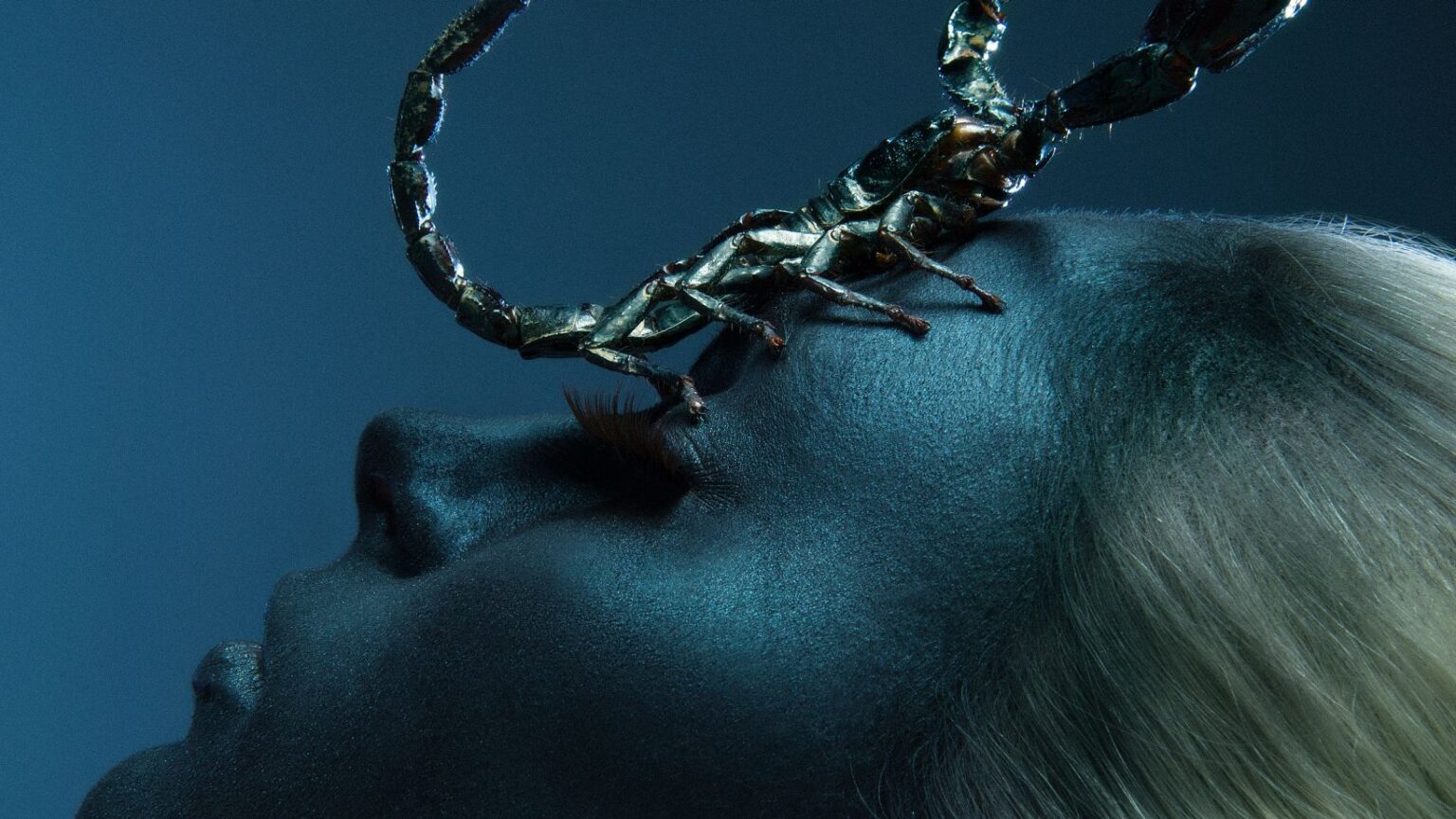 How To Draw A Scorpion In 5-Easy Steps - The Scorpion Hobby