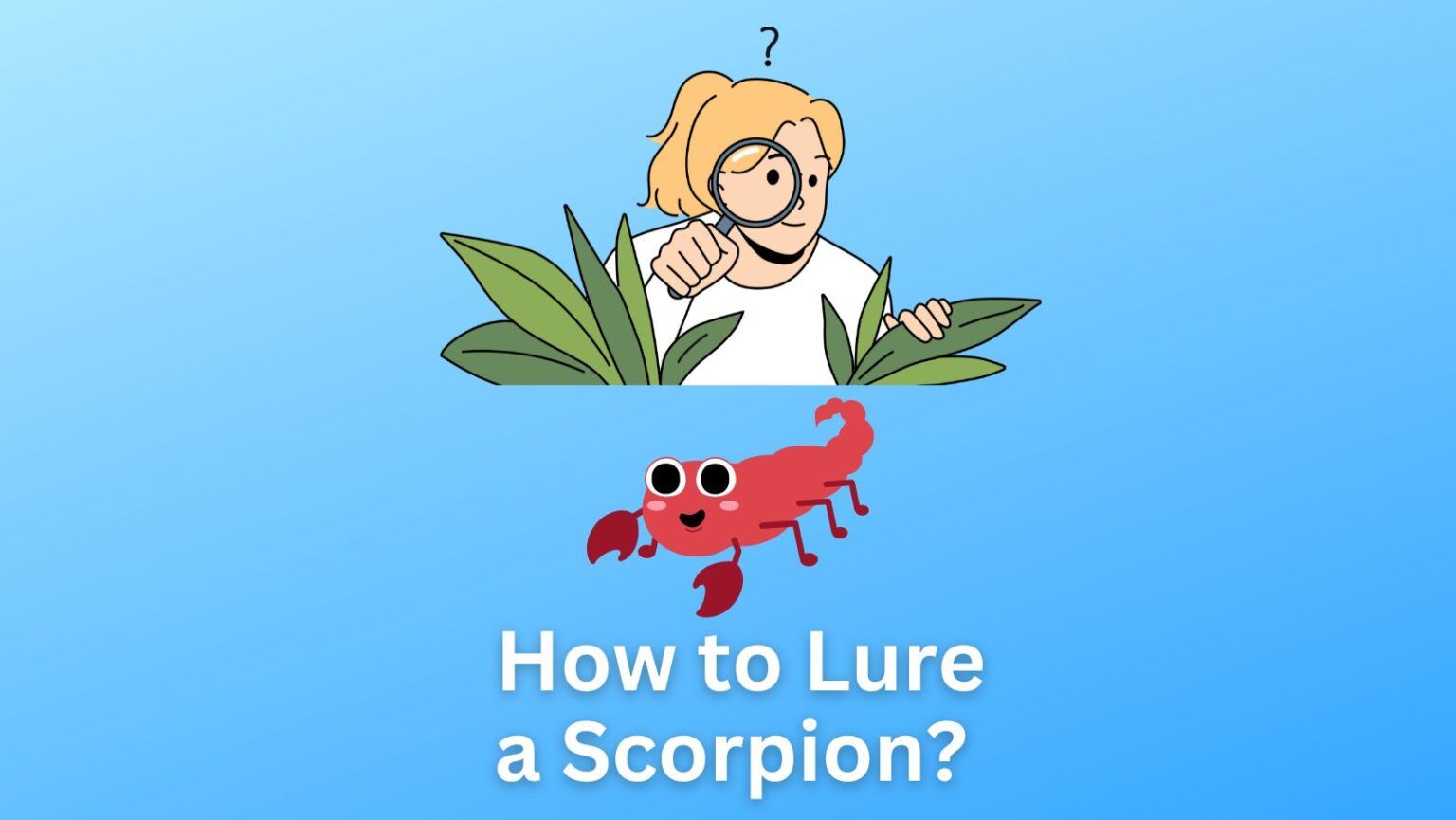 Scorpions Life Cycle: Age, Diet, Breeding and More! - The Scorpion Hobby